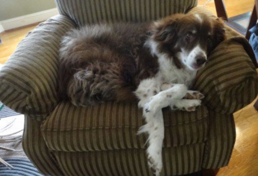 10 Good Gifts For A Couch Potato - Good Gifts For Senior Citizens